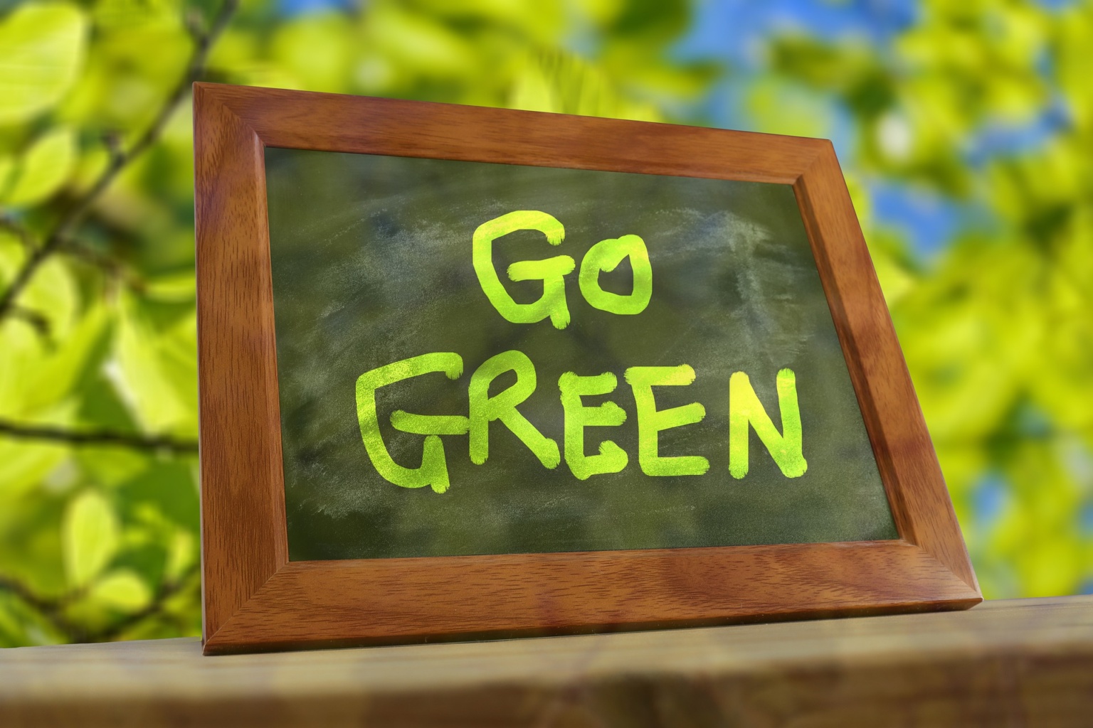 EASY RECIPE TO START GOING GREEN – Starting Lines